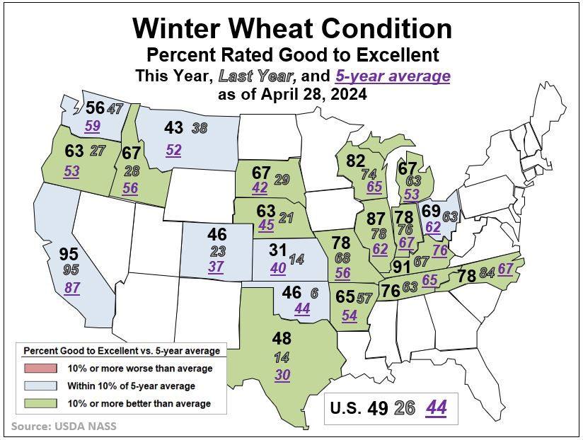 Winter Wheat Crop Looking Good | The Brock Report