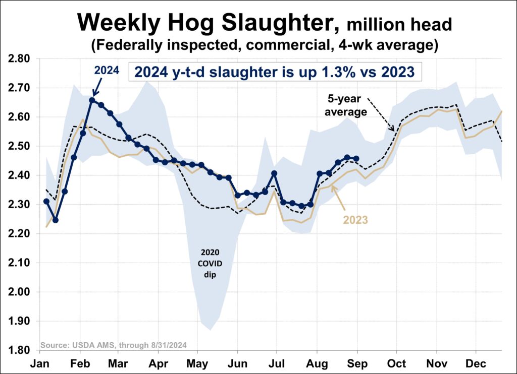 Hog Market Fundamentals | The Brock Report